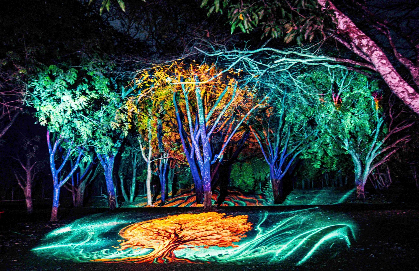 Cerrado Mapping Festival chega a Uberlândia unindo arte, tecnologia e ...